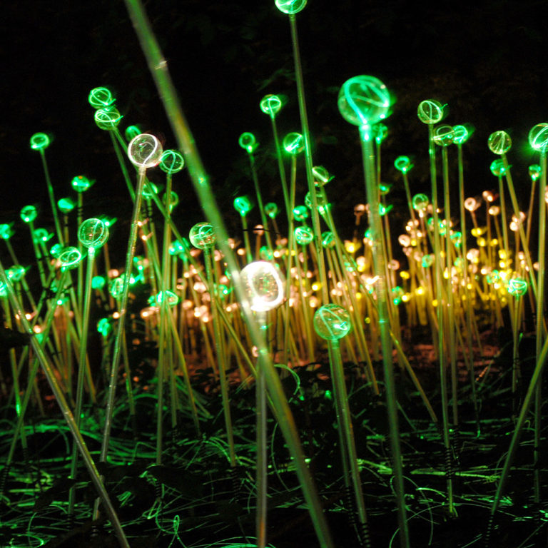 contact us - Zepp Graphical